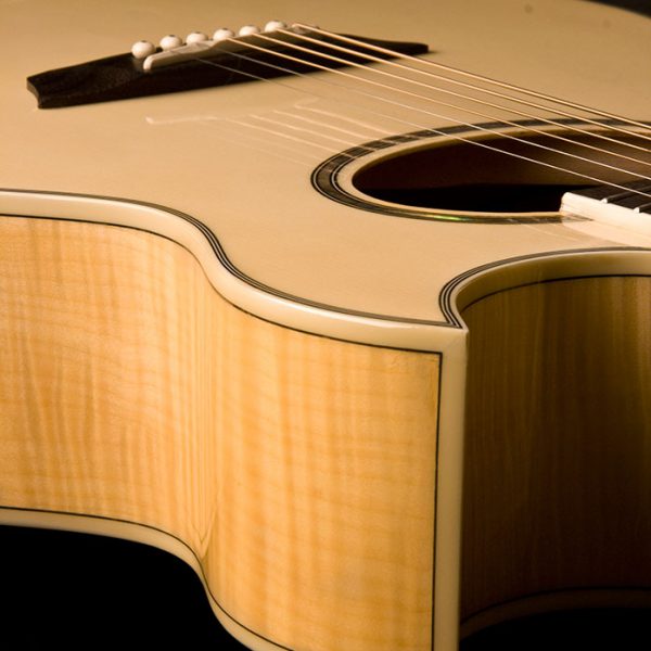 EA20 | Washburn Guitars