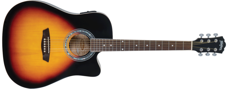 Washburn Guitars